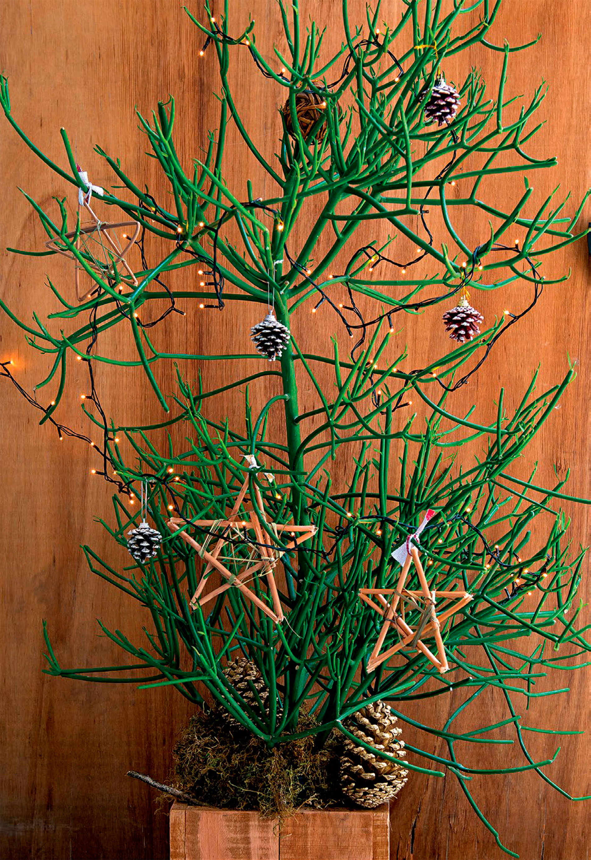 Hacé tu propio árbol de Navidad - Revista Para Ti