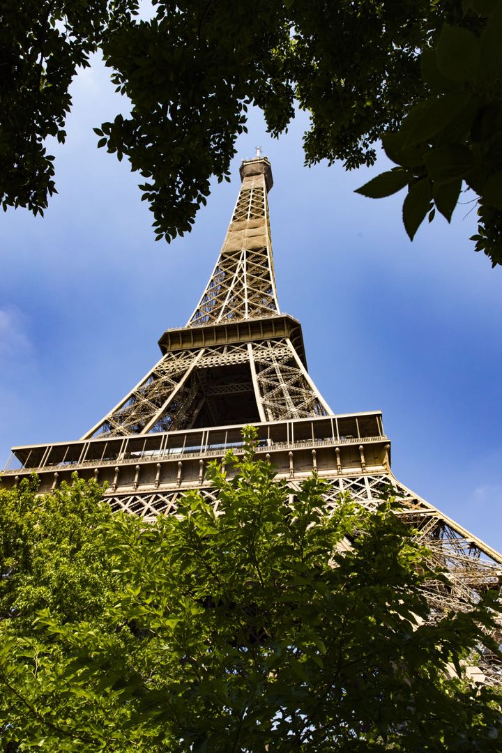 La reapertura de la Torre Eiffel: un símbolo del mundo antes y después ...
