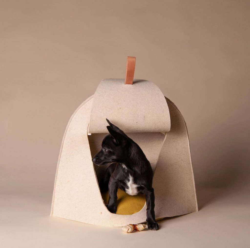 Los mejores accesorios y juguetes de diseño para perros - Revista Para Ti