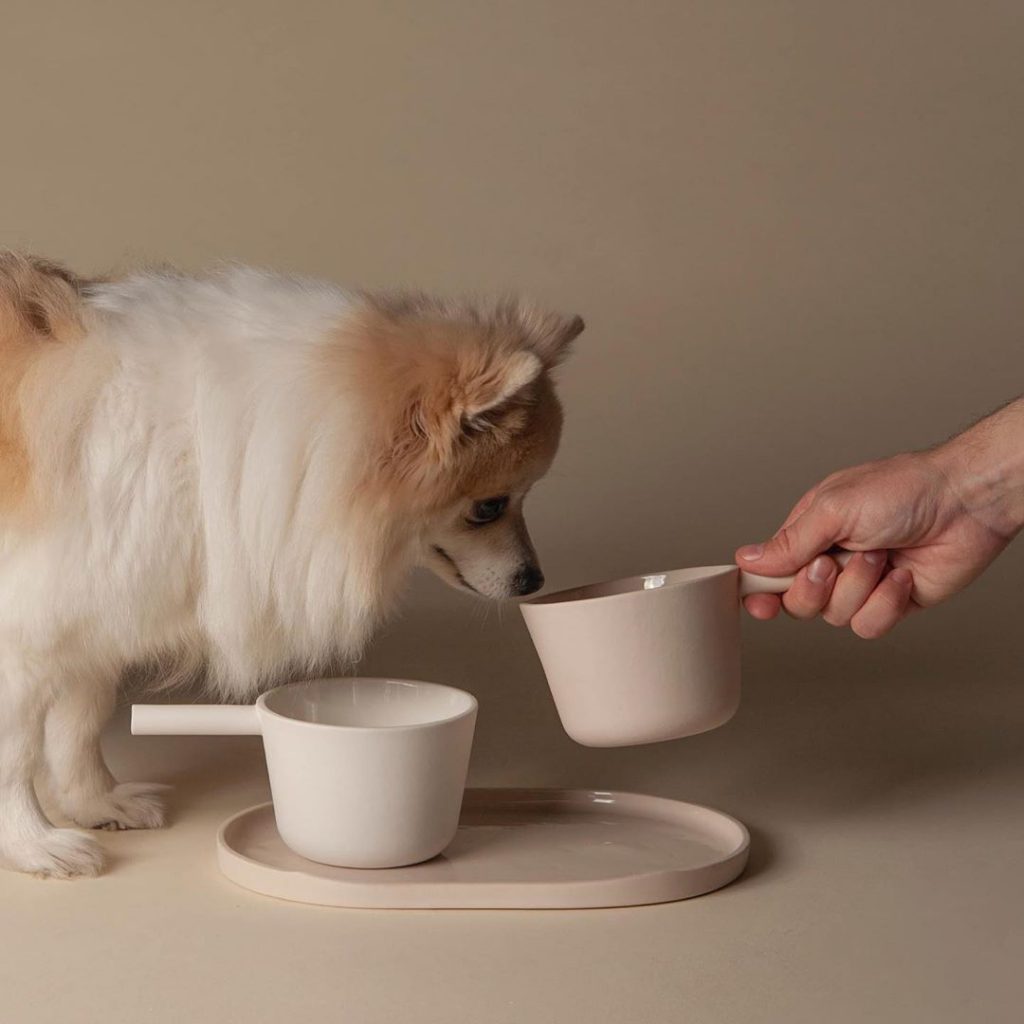 Los mejores accesorios y juguetes de diseño para perros – Para Ti
