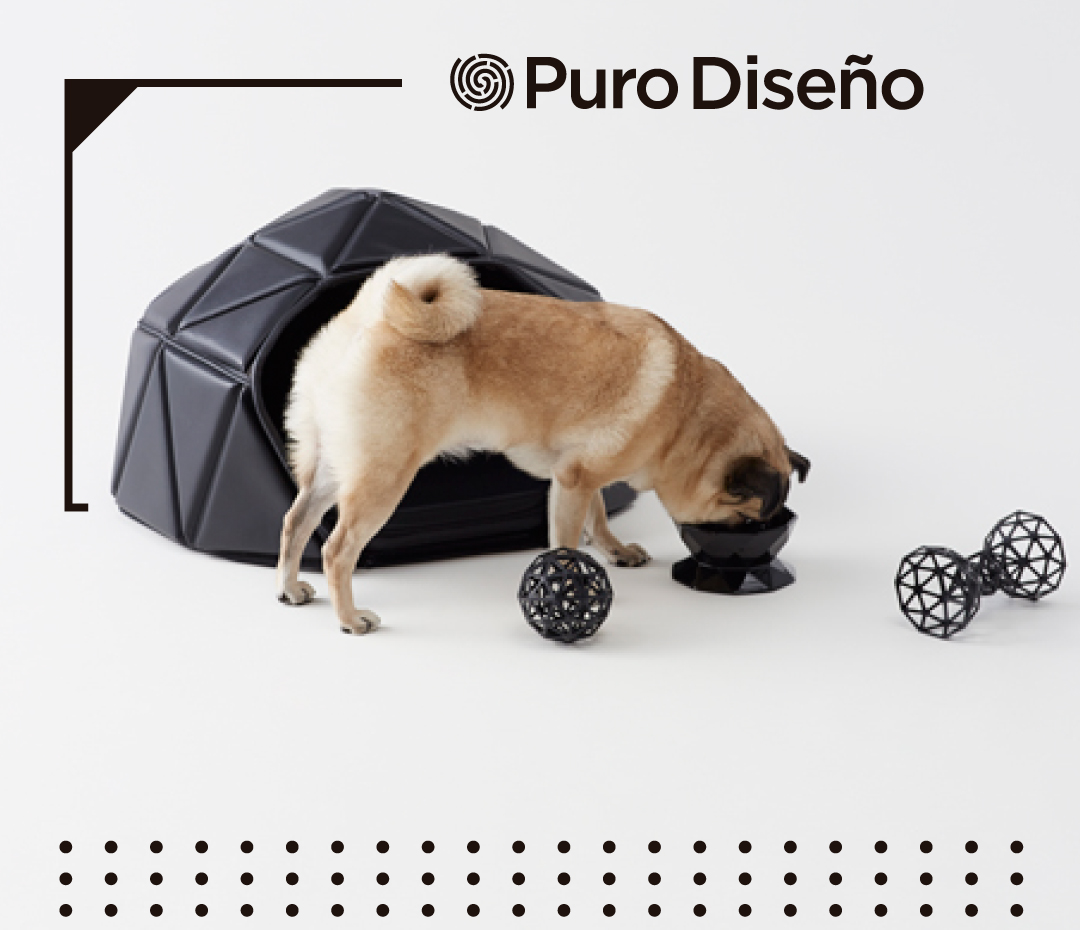 Los mejores accesorios y juguetes de diseño para perros - Revista Para Ti