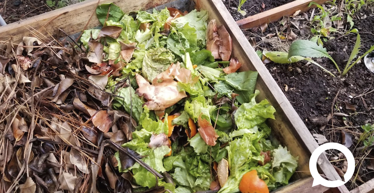 Día Mundial de la Tierra: tips para hacer tu primera compostera casera ...