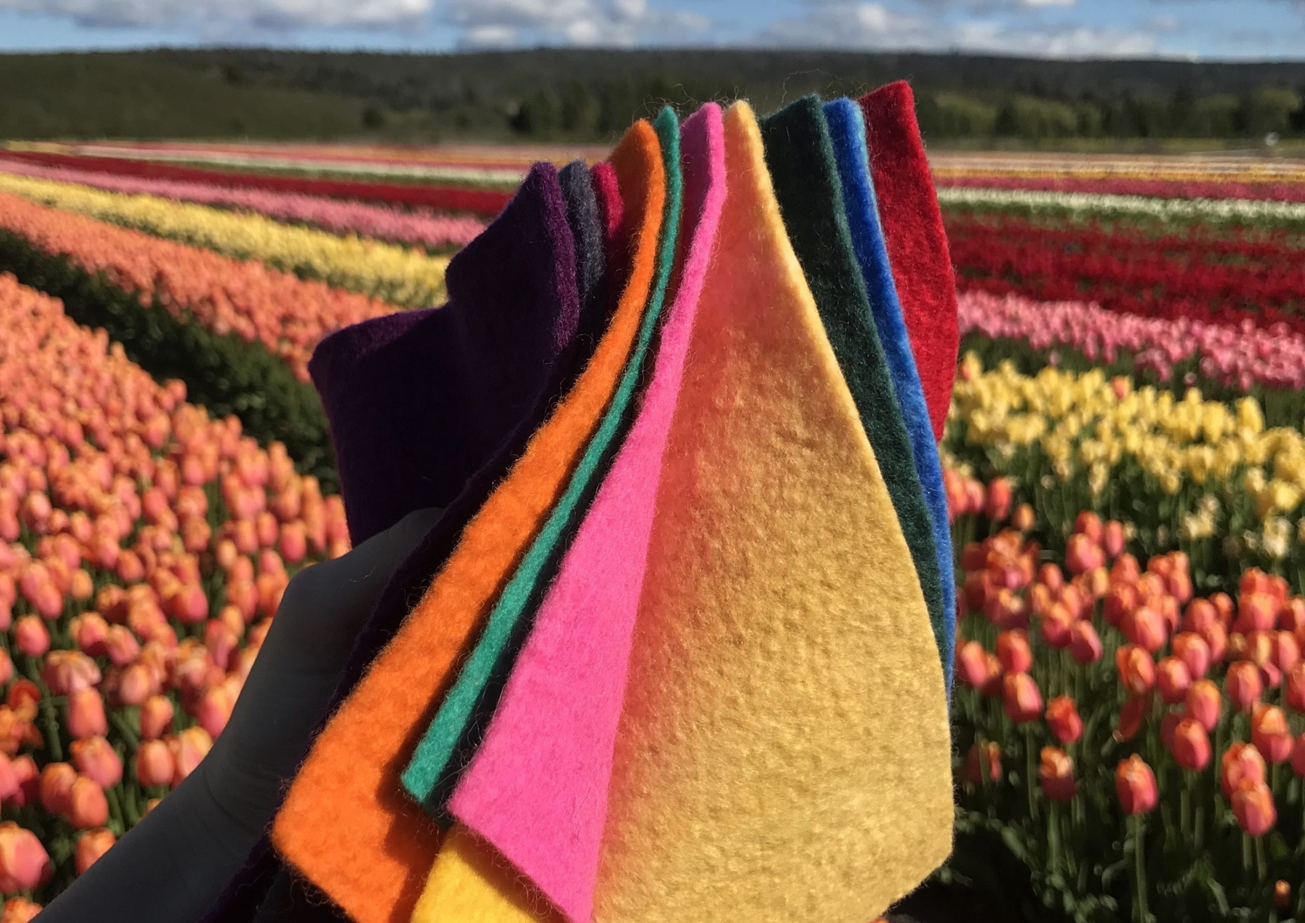 Fieltro patagónico: todo lo que hay que saber sobre este tejido ...