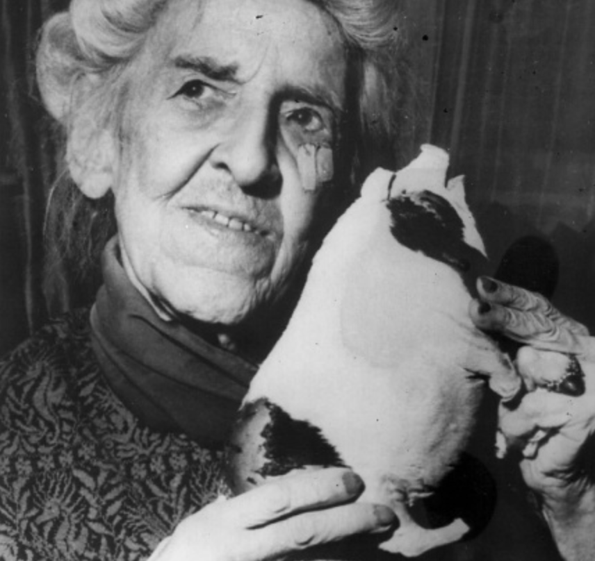 La historia poco conocida de la estilista y productora de moda que fue ...