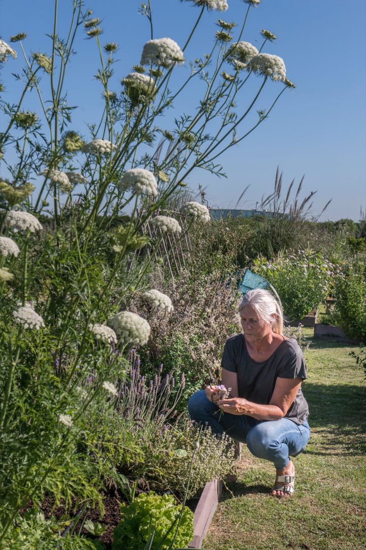Un paseo por una huerta con decoración y alma natural – Para Ti