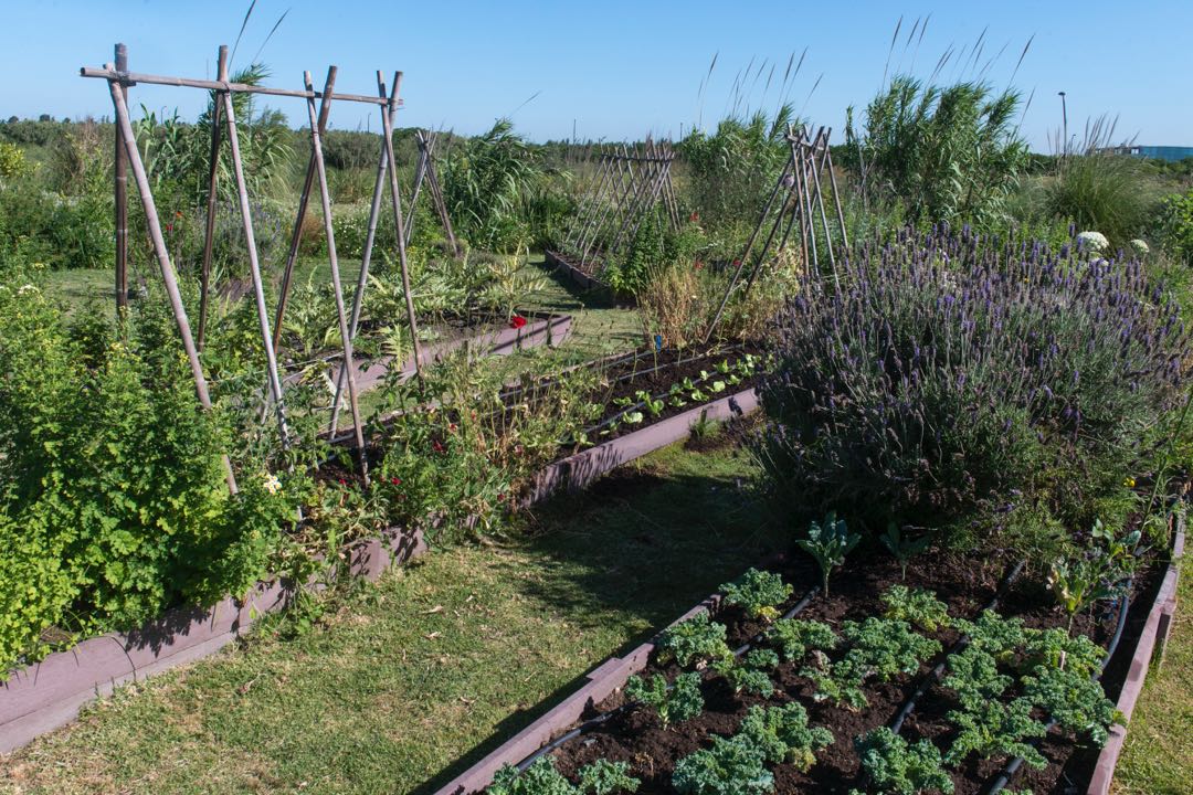 Un paseo por una huerta con decoración y alma natural – Para Ti
