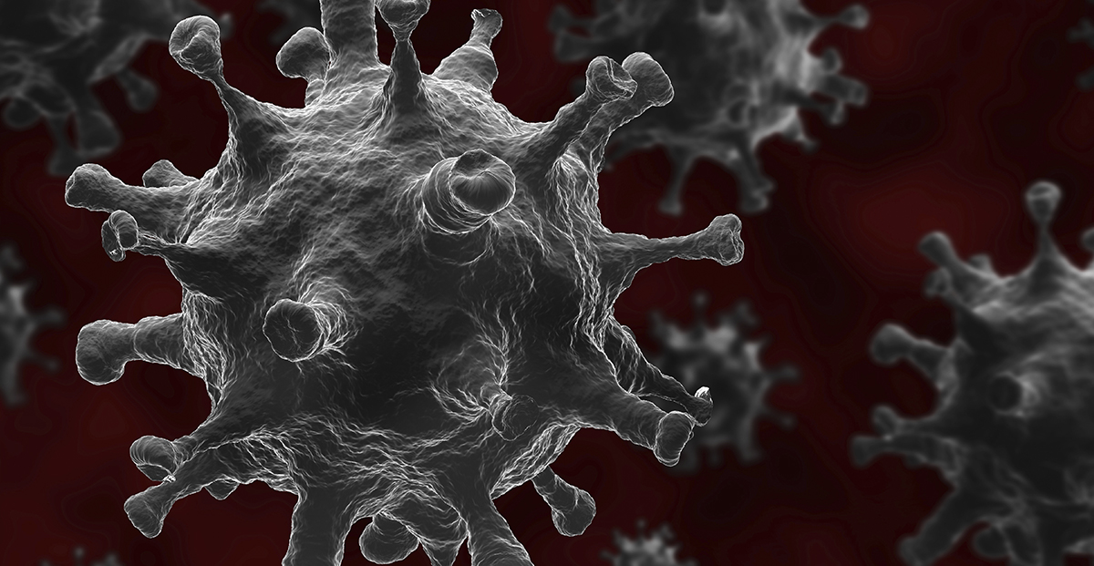 Hongo negro: qué es y cómo prevenirlo - Revista Para Ti