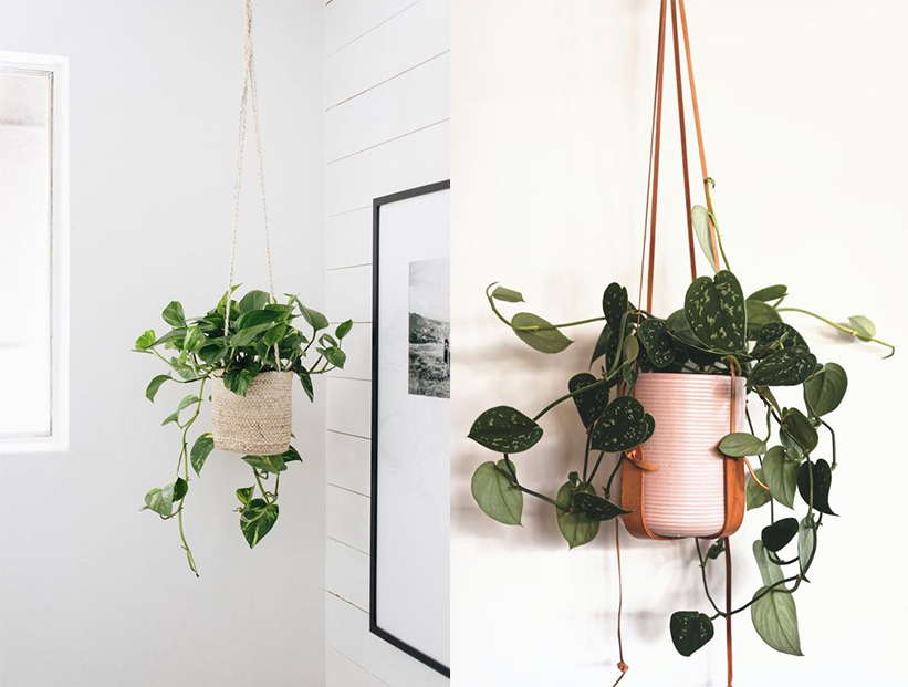 Para Ti Deco – Página 6