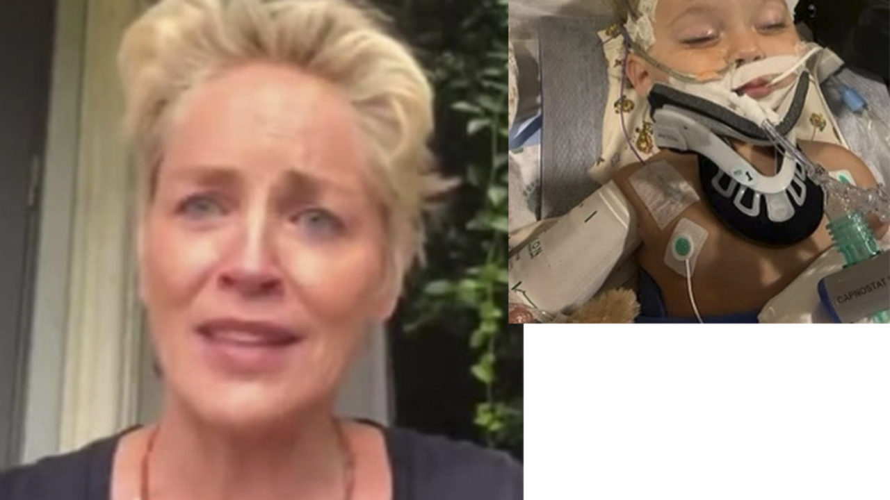 Tasha Stone's Instagram, Twitter & Facebook on IDCrawl