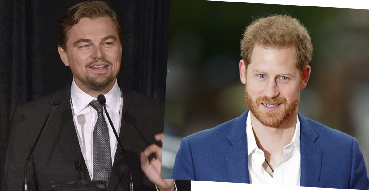 La causa que une al príncipe Harry con Leonardo Di Caprio - Revista Para Ti