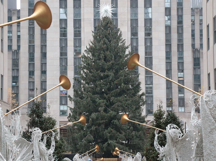 El Rockefeller Center de Nueva York ya instaló su popular árbol de ...