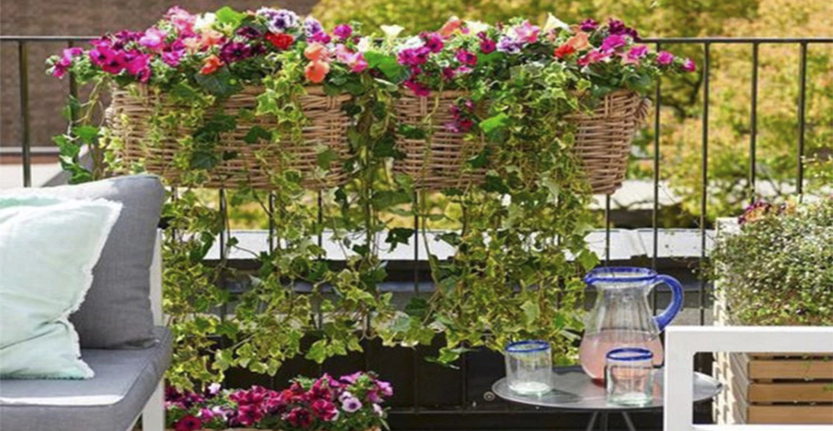 Las plantas colgantes más lindas para decorar balcones - Revista Para Ti