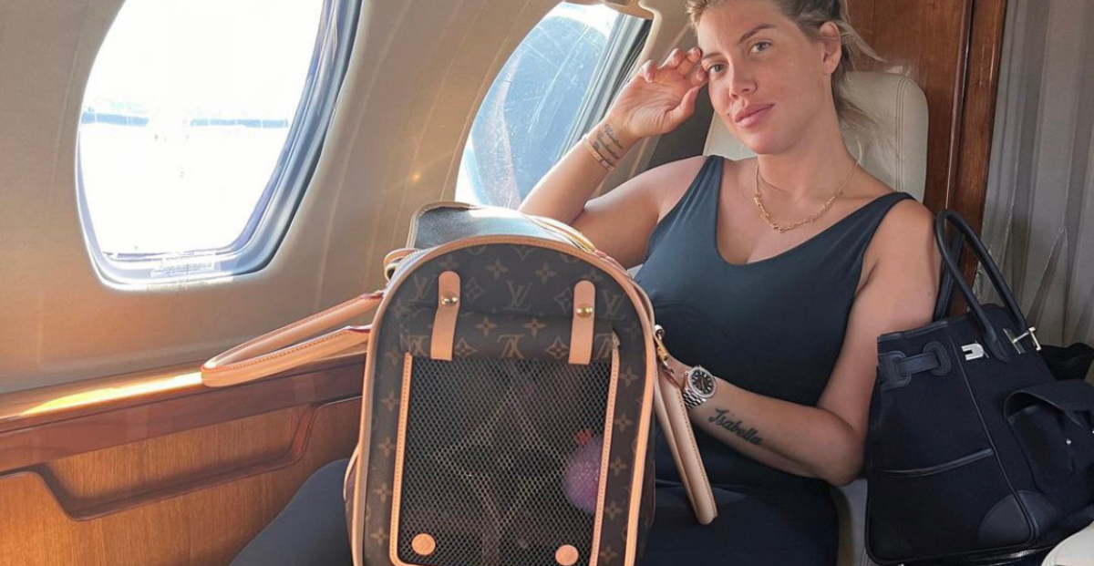 Cuánto sale el lujoso accesorio en el que Wanda transporta a su perro ...