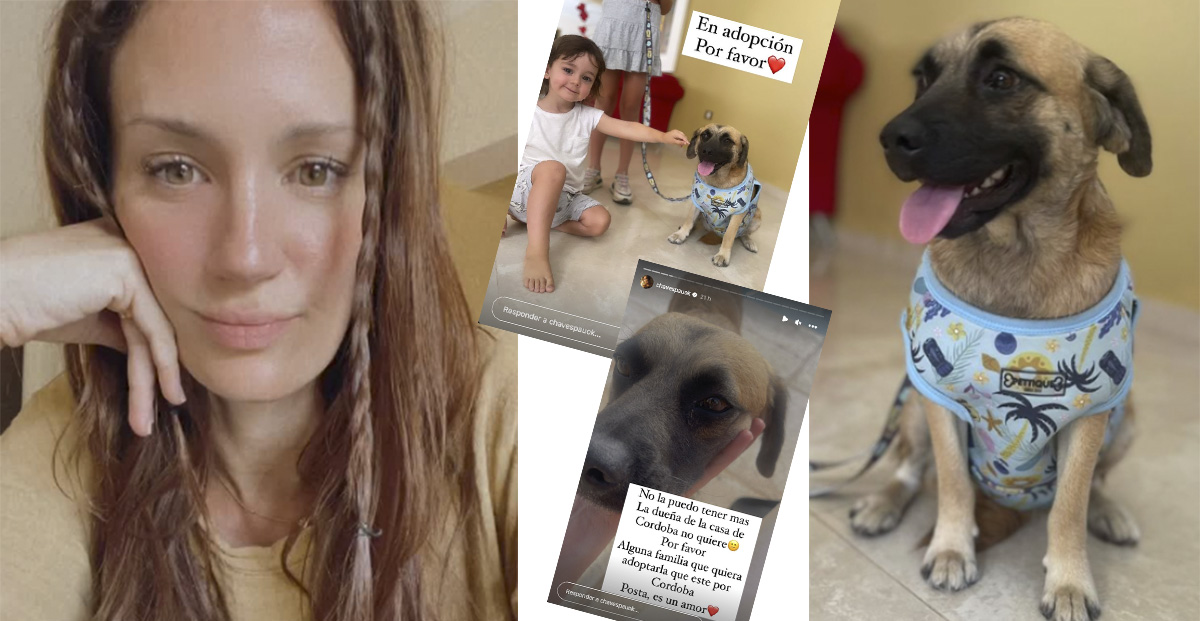 El drama de Paula Chaves con la perrita que rescató en Córdoba ...
