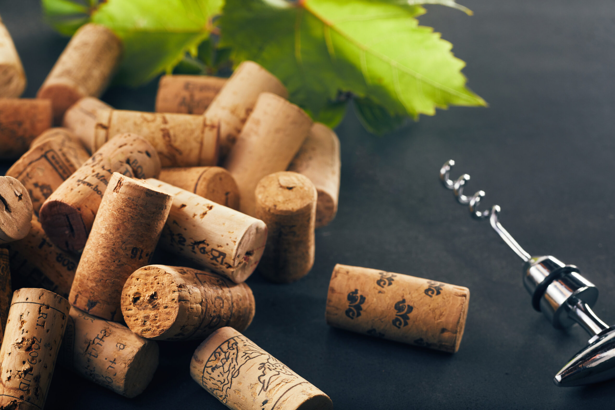 Cómo usar corcho en la heladera para absorber los malos olores ...