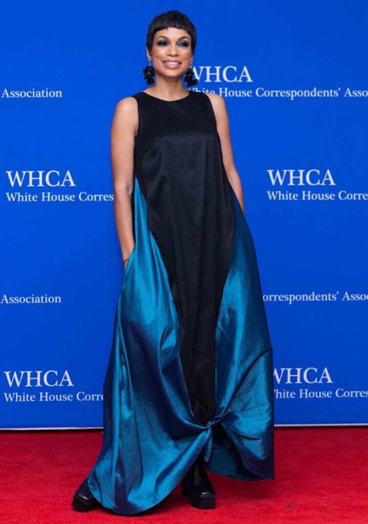 Vidriera: de Julia Fox a Winnie Harlow, los looks de gala en la cena ...