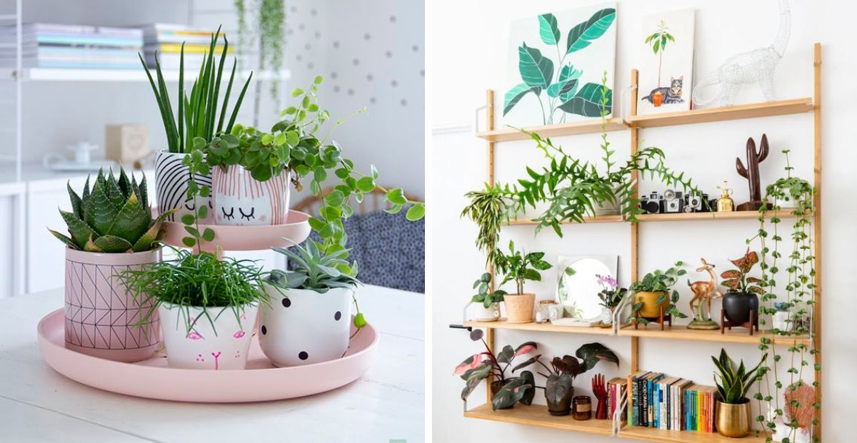 Las mejores ideas para decorar tu primera casa con plantas mini ...