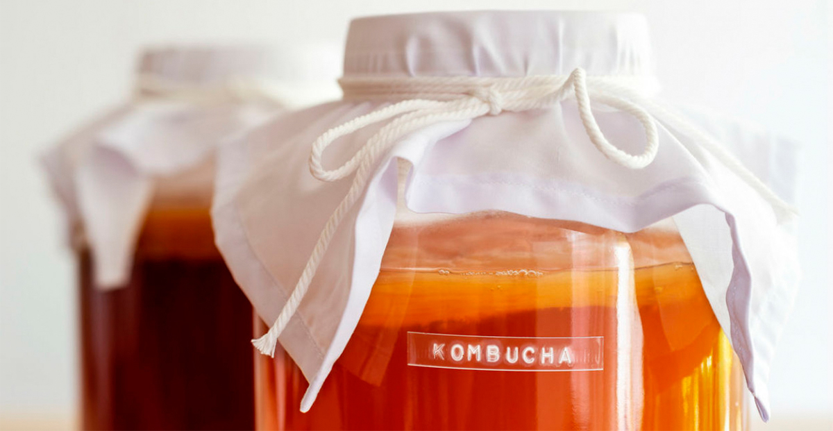 Cómo preparar Kombucha, la receta de la bebida ancestral que tiene ...