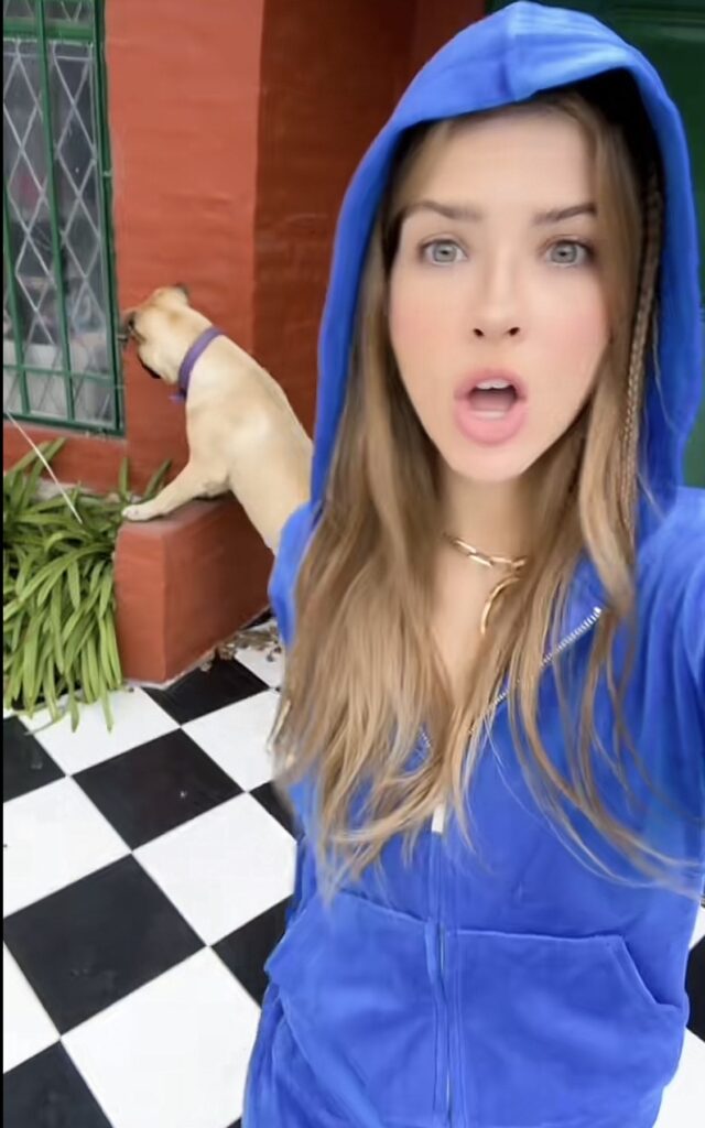 La China Suárez impacta con su conjunto azul Francia, el color más ...