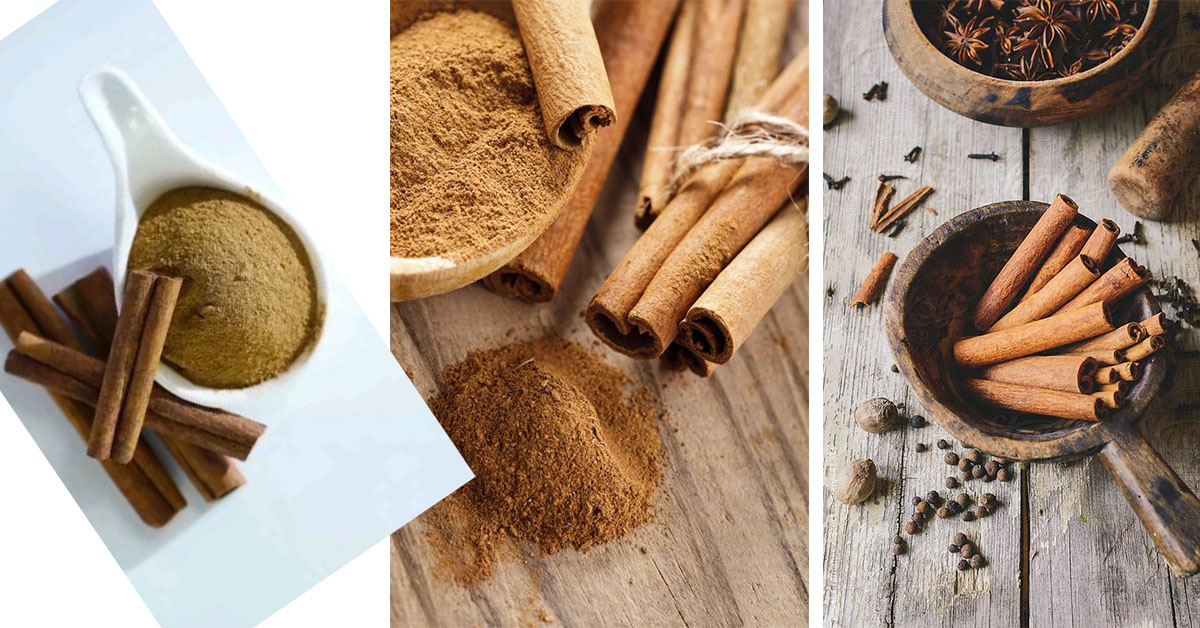 Ritual de la canela: para empezar el mes con abundancia - Revista Para Ti