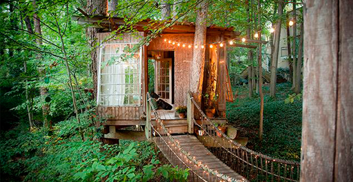 Tips para construir una casa en el árbol, el mejor plan familiar para ...