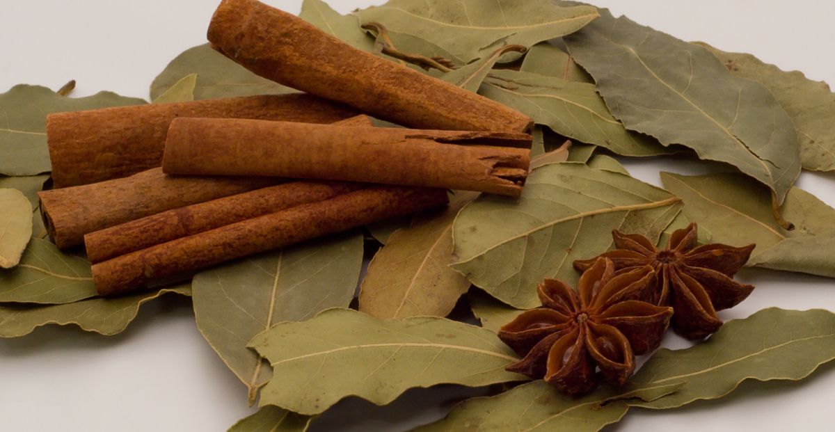 El ritual de la canela y el laurel para atraer prosperidad y energía positiva - Revista Para Ti