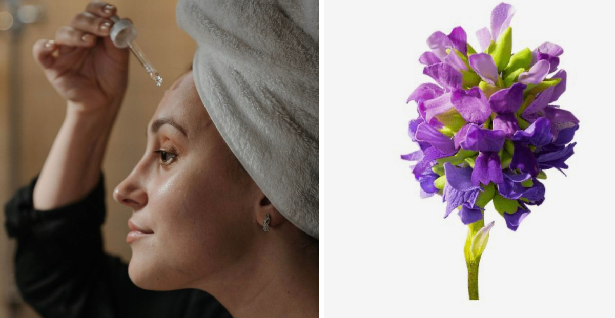 Qué es el bakuchiol, la alternativa natural al retinol - Revista Para Ti