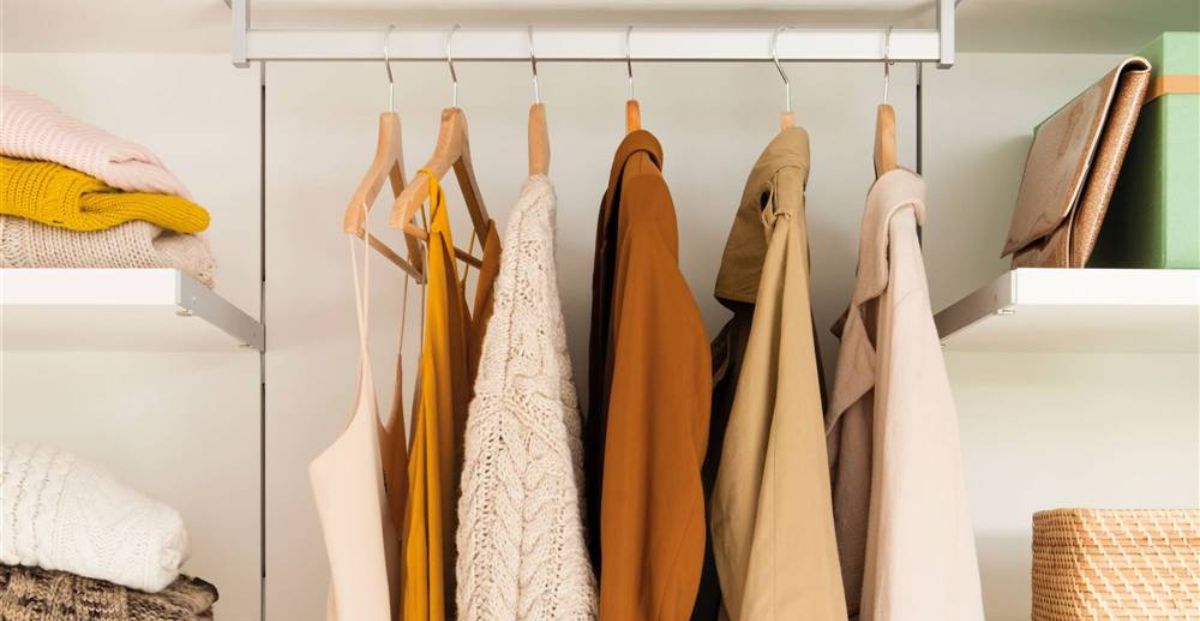 Mini guía: cómo elegir la percha indicada para cada tipo prenda ...