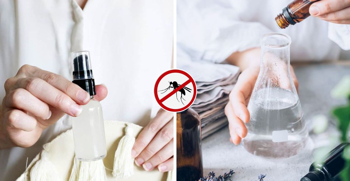 Vinagre de manzana: el repelente natural perfecto para ahuyentar mosquitos - Revista Para Ti