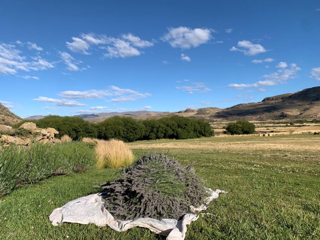 Cambio Rural, un proyecto de mujeres unidas por la pasión