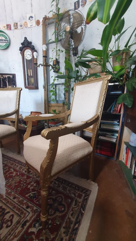 Pasaje Rivarola: la calle simétrica más amada cumplió 100 años